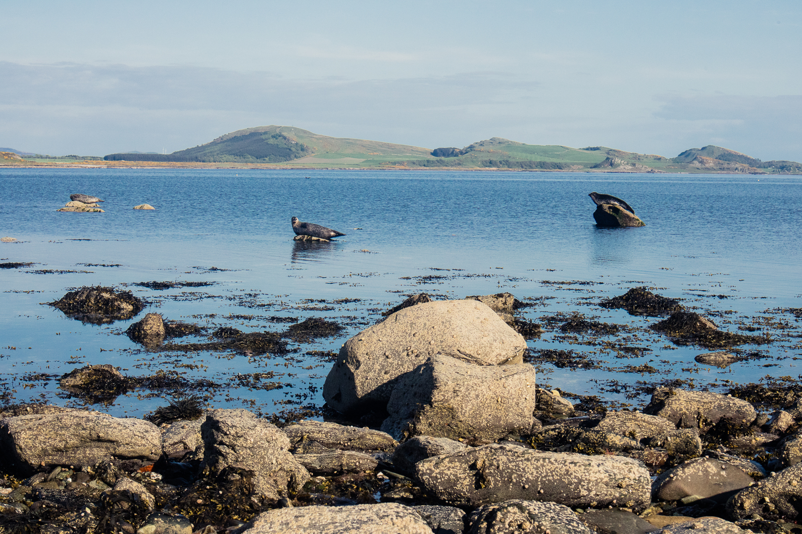 'Wake Up' - Wild camping on the Isle of Bute - Wild for Scotland Podcast