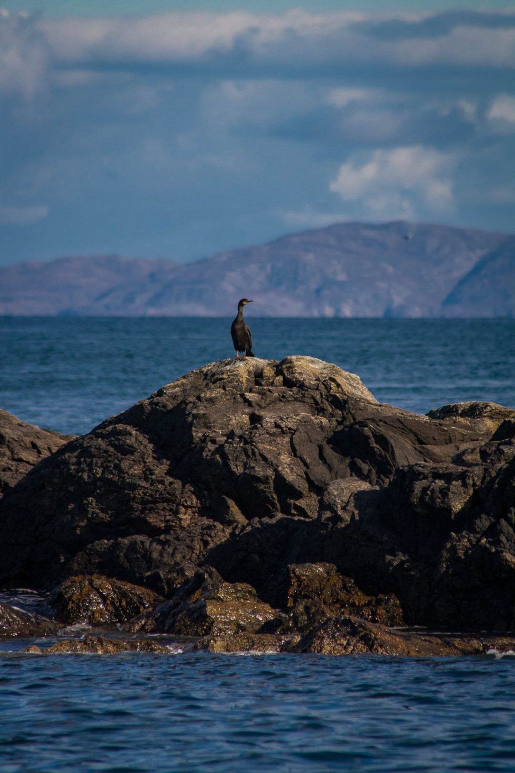 'Between the Tides' - A Hike to Oransay, Isle of Colonsay - Wild for ...