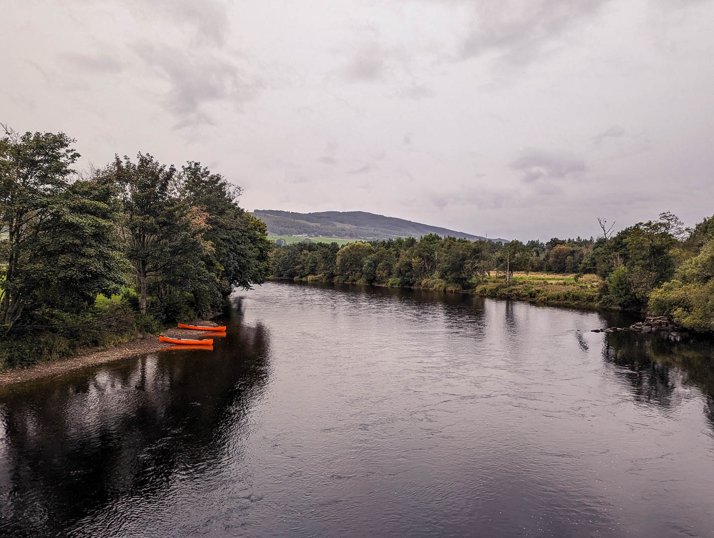 'A Long Time Coming' - Beaver Safari on the River Tay - Wild for ...