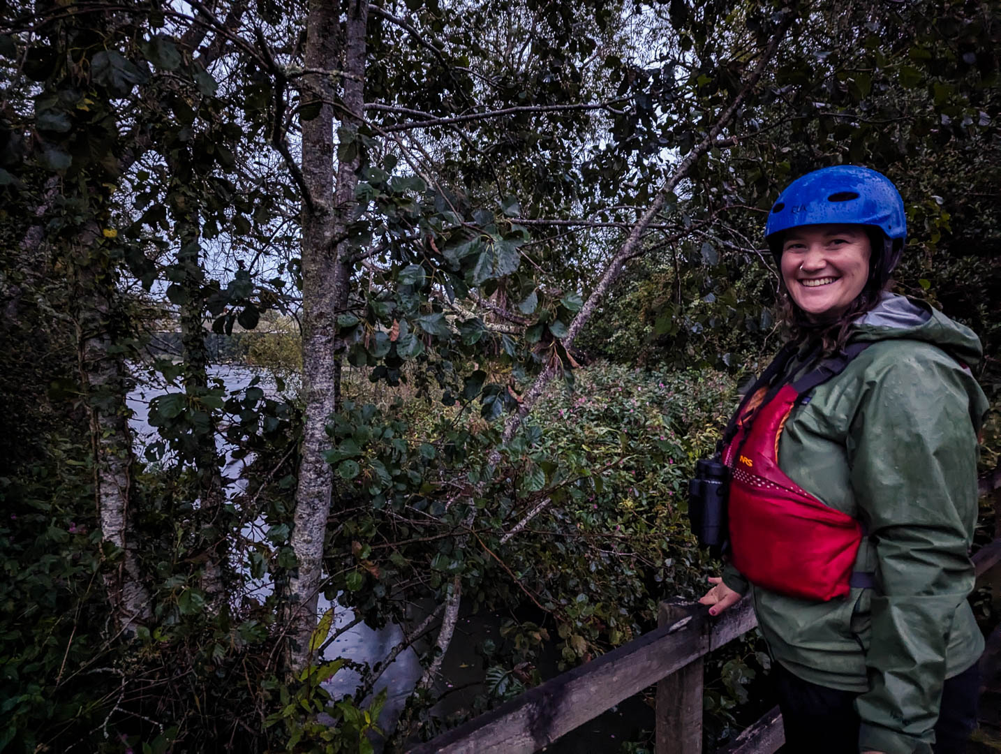 'A Long Time Coming' - Beaver Safari on the River Tay - Wild for ...