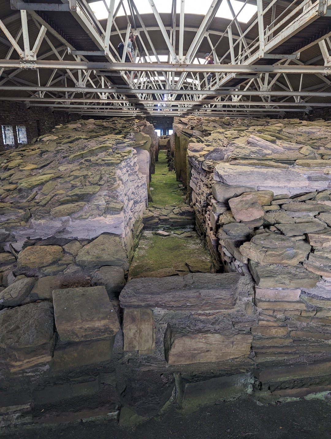'Through the Haar' - Archaeology in Rousay - Wild for Scotland Podcast