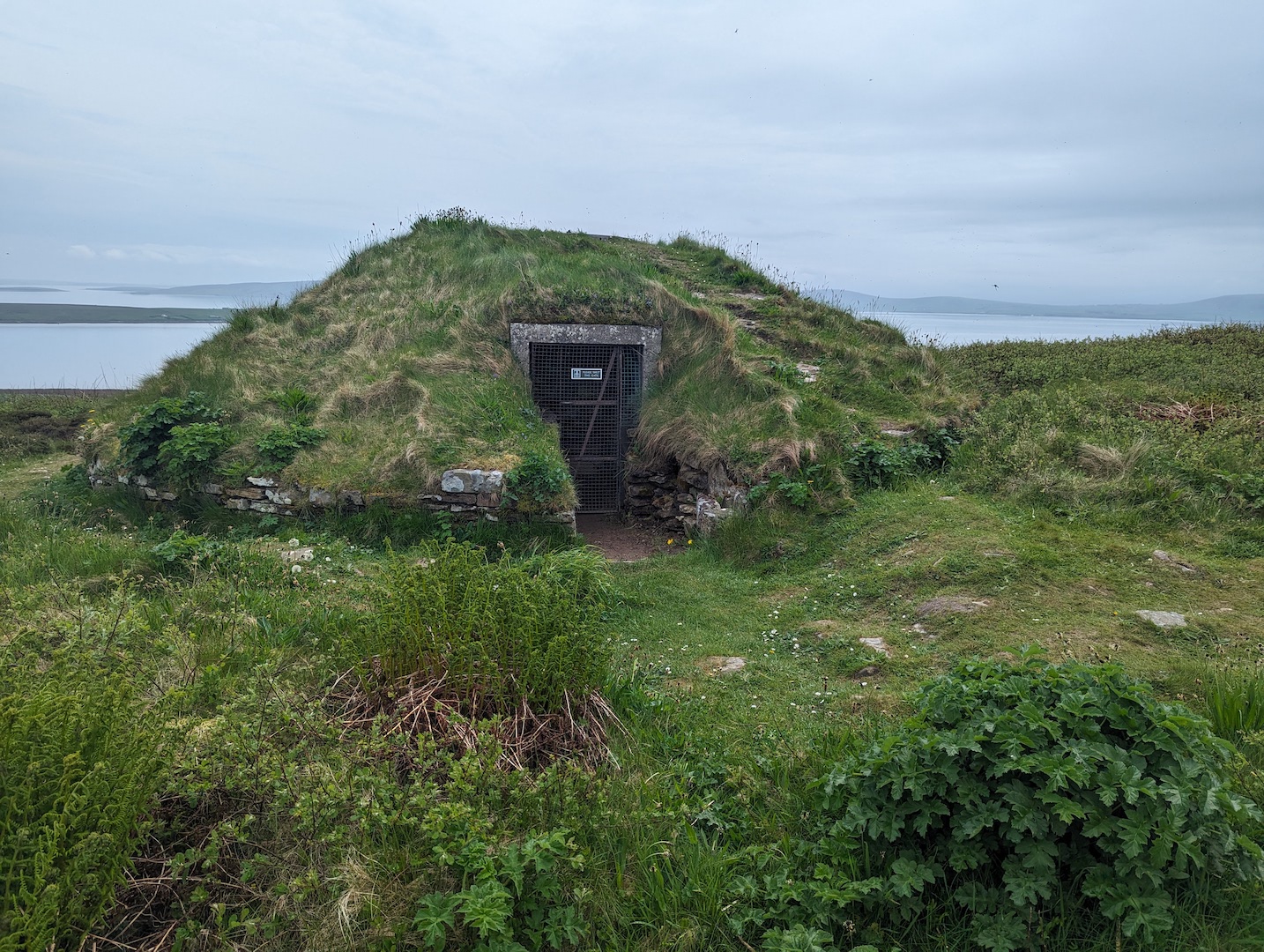 'Through the Haar' - Archaeology in Rousay - Wild for Scotland Podcast