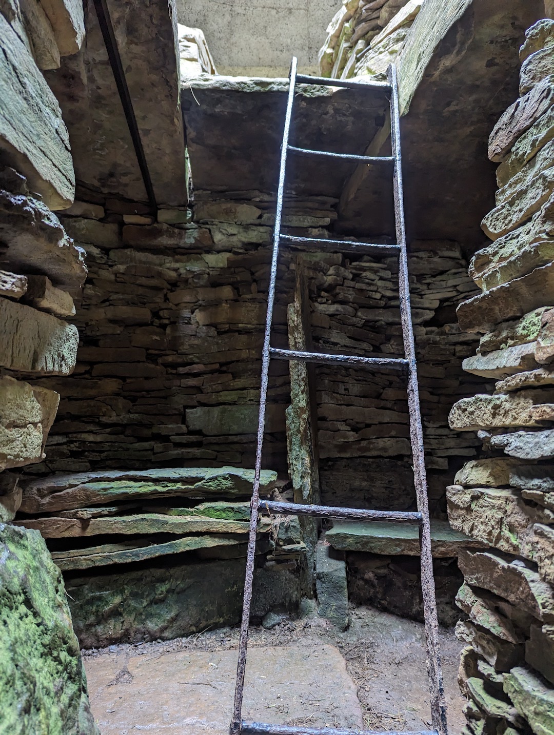 'Through the Haar' - Archaeology in Rousay - Wild for Scotland Podcast